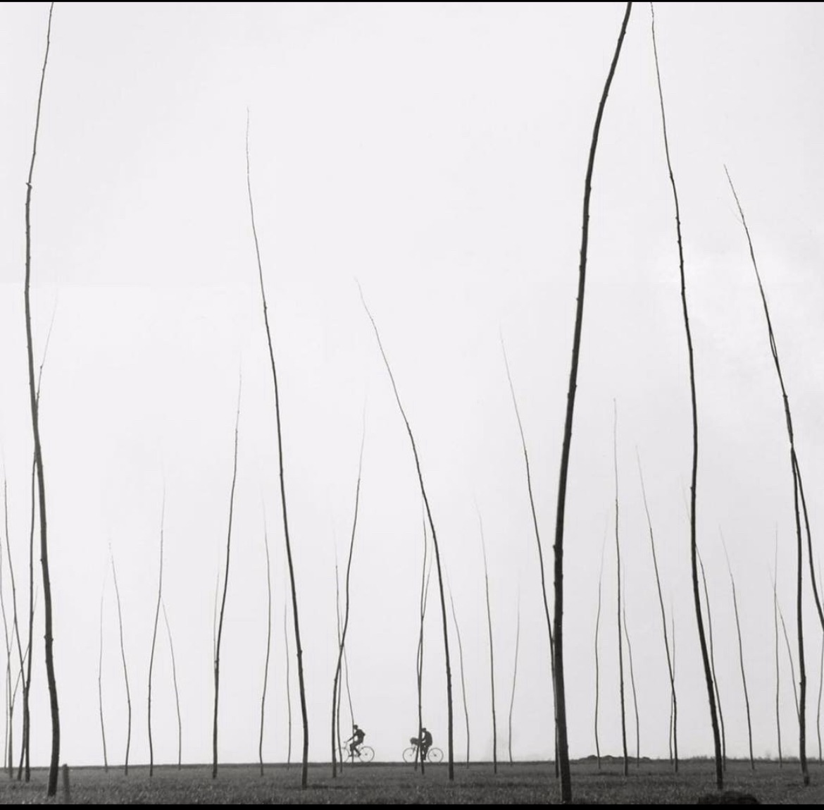 A Small Impact (Interpreting Visual Art – Photography) – Francis Erich ...